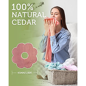 Aryiten Cedar Blocks for Clothes Storage, 32 Pack Cedar Rings, Aromatic Scent Cedar Planks for Clothes Storage Closets and Drawers Freshener Protection & Control