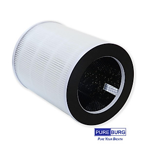 PUREBURG P100 Replacement True HEPA Filters Compatible with Welov P100 / P100 Pro Air Purifier P100-RF,H13 4-Stage Filtration Activated carbon 2-IN-1 Air Clean Dust VOCs Odor,2-Pack