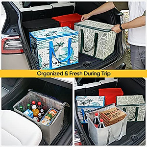 BALEINE 2Pk Insulated Reusable Grocery Bags, Collapsible Cooler Bag for Groceries, Heavy Duty Large Insulated Bag (16''x9''x13'', Spring Stroll)