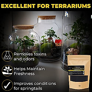 Organic Horticultural Charcoal & Terrarium Charcoal | Charcoal for Plants | Pure Hardwood Charcoal for Planting and Gardening | (1 Quart)