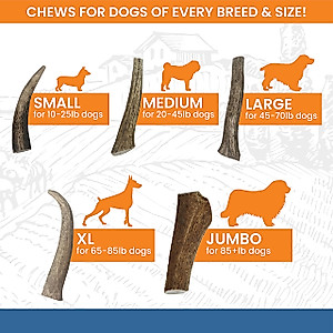K9warehouse Split Antler for Dogs - Natural Dog Antlers for Aggressive Chewers - USA Sourced Elk Antlers for Dogs Small, Medium, Large - Healthy Elk Antlers for Teeth Cleaning & Chewing Pleasure