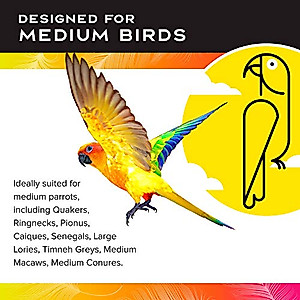 Supreme Cotton Wreath 8" dia.