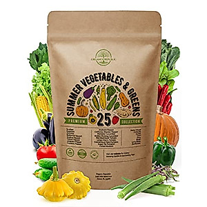 25 Summer Vegetable Garden Seeds Variety Pack for Planting Outdoors and Indoor Home Gardening 2500+ Non-GMO Heirloom Veggie & Salad Green Seeds: Collards Tomato Pepper Okra Onion Bean Cucumber & More