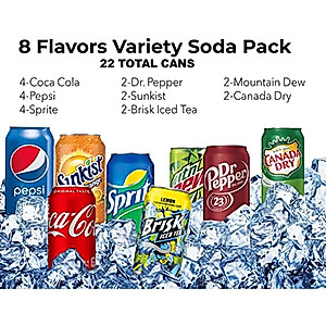 Murai - (Pack of 22) Soda Variety Pack | 8 Multi Flavors Soft Drink Bundle | Assortments of Cola, Pepsi, Sprite, Mountain Dew, Dr. Pepper, Sunkist, Canada Dry Ginger Ale, Brisk Iced Tea | The Beverage Care Package