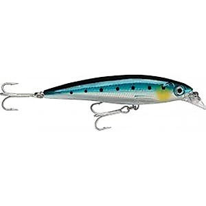 Rapala X-Rap Saltwater Fishing Lure (Blue Sardine, Size- 4)