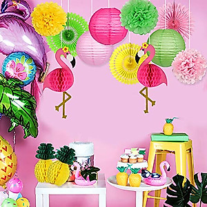 Flamingo Party Supplies, Hawaiian Party Decorations Flamingo and Pineapple Honeycomb Ball Paper Lanterns Paper Fans Pom poms Flowers for Birthday Luau Tropical Bachelorette Party