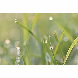 TAMRON 90 mm F2.8 VC USD Lens for Canon DSLR Camera, F017E