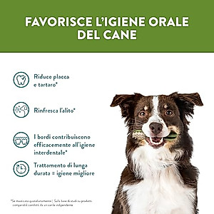 Whimzees Natural Dental Dog Chew Long lasting, Variety Box Mixed Shapes, Small, 56 Pieces