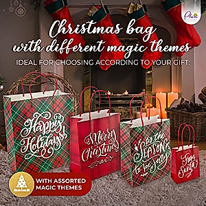 Christmas Gift Bags Assorted Sizes-24 Christmas Bags Bulk -Christmas Bags for Gifts with Christmas Tissue Paper Gift Wrap- Assorted Holiday Gift Bags for Christmas - Xmas Holiday Bags for Gifts