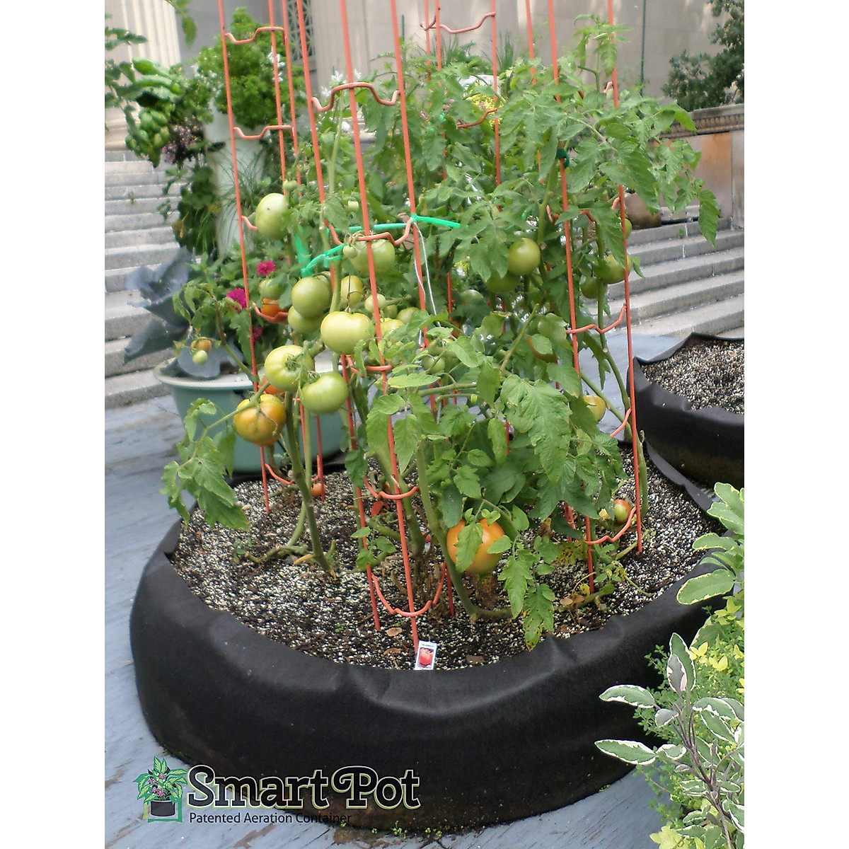 Smart Pot 100511247 Big Bag Fabric Raised Bed, Original, Black