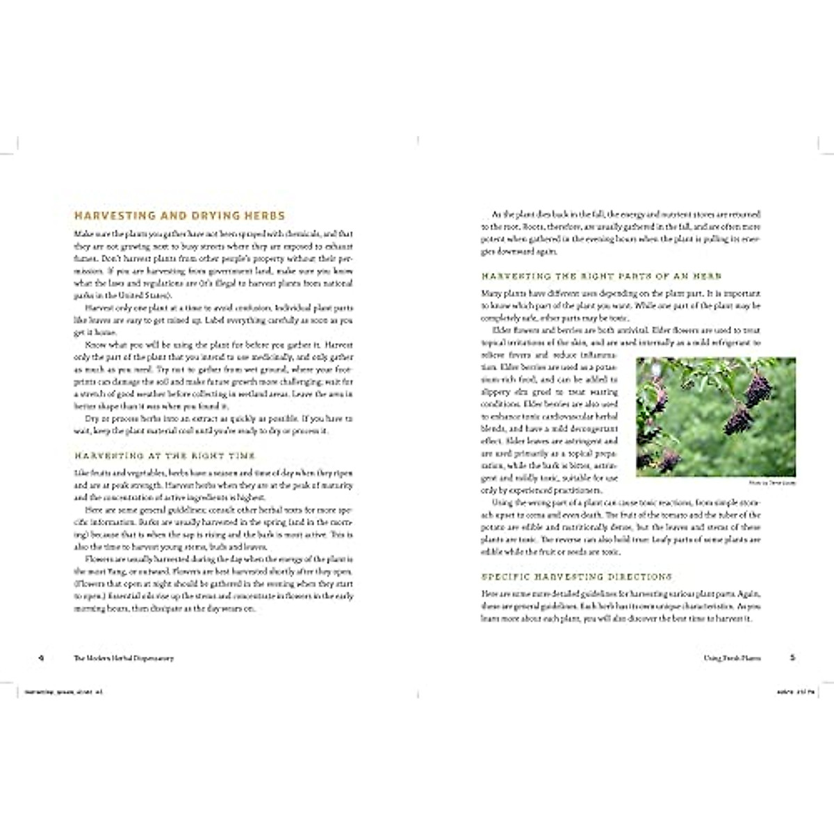 The Modern Herbal Dispensatory: A Medicine-Making Guide