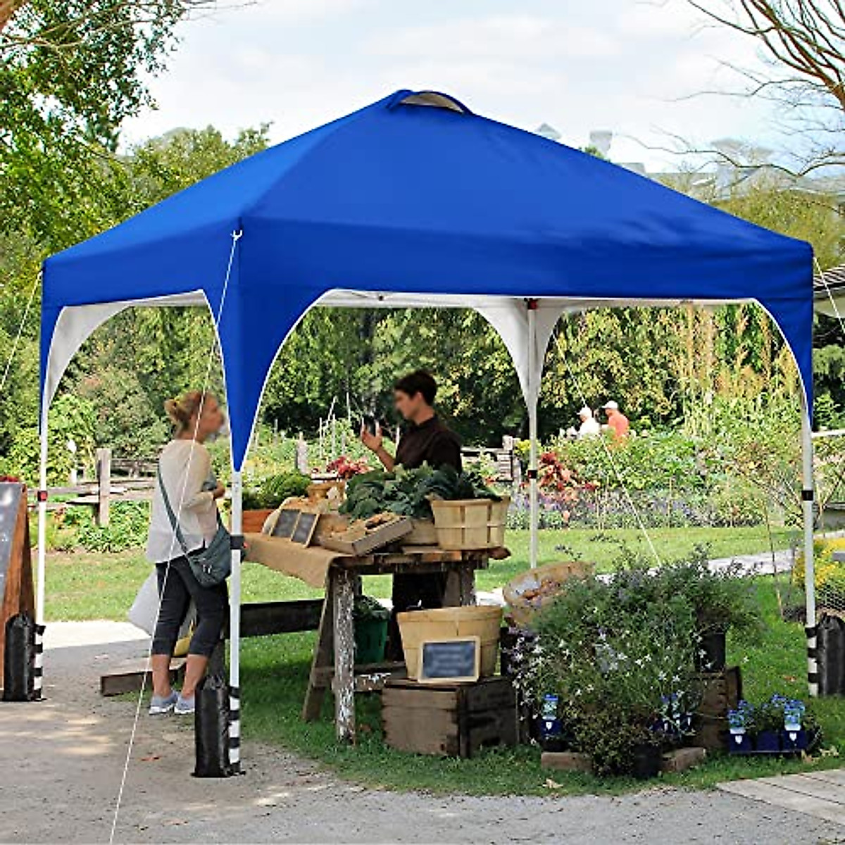 Topeakmart Outdoor Pop up Canopy Tent Camping Tent Sun Shelter Portable Canopy Tent 10x10 Heavy Duty for Garden Patio Park Market Blue