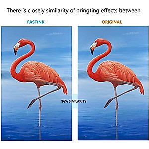 FASTINK HP 902 Ink Cartridge HP 902XLCombo Pack Compatible Ink Cartridge Replacement for HP Officejet Pro 6978 6968 6962 6958 6970 Ink Cartridges, 5-Pack (2 Black, 1 Cyan, 1 Magenta)