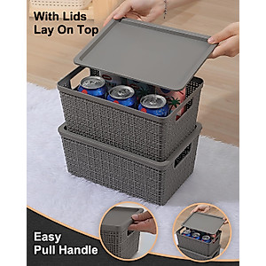 EOENVIVS Plastic Storage Basket with Lids Set of 6 Lidded Storage Bins Shelf Baskets for Organizing Containers Small Baskets for Shelves Drawers Desktop Closet Playroom Classroom Office, Grey