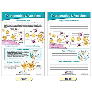 NewPath Learning Coronavirus Structure & Immunity Bulletin Board Chart Set, Set/4 - Laminated, Double-Sided, Full-Color, 12" x 18" (94-7716)