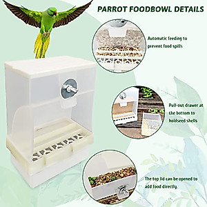 Tfwadmx No Mess Automatic Bird Feeders Cockatiel Food Dispenser Bowls Seed Container Parrot Dishes Parakeet Cage Accessories Birdfeeder with Divider for Canary Finch Conure Lovebirds 2Pcs