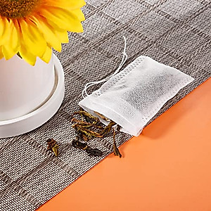 FRIUSATE 500Pcs Tea Bags for Loose Leaf Tea, Empty Tea Bags with String Disposable Tea Bags Fillable Natural Tea Filter Bags Drawstring Tea Bags Bulk for Loose Tea, Coffee, Spice, 2.36 x 3.15 Inch