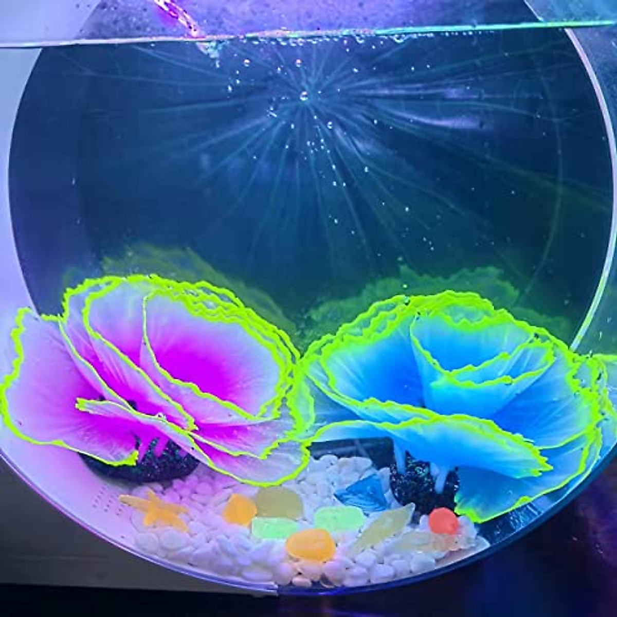 Livfodrm Glowing Fish Tank Decorations Glow Aquarium Decor Coral Ornaments, 2pcs Silicone Flower Plants and 10pcs Colourful Sea Shells/Luminous Stone Glow in The Dark for Aquarium Decoration