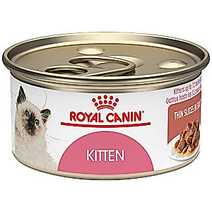 Royal Canin Feline Health Nutrition Kitten Thin Slices in Gravy Canned Cat Food, 3 Oz Can, Pack of 24