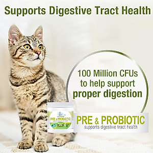 Four Paws Healthy Promise Pre and Probiotics for Cats Soft Chews 90 Count