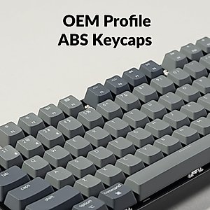 Keychron K8 Tenkeyless Wireless Mechanical Keyboard for Mac, White Backlight, Bluetooth, Multitasking, Type-C Wired Gaming Keyboard for Windows with Gateron G Pro Brown Switch