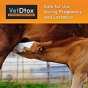 VetDtox 1qt Activated Charcoal Powder for All Kinds of Pets & Livestock, Dog, Cat, Chicken, Horses and More - for Diarrhea, Gas Relief, Liver Support