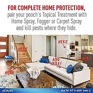 Adams Plus Flea and Tick Spot On for Dogs, Small Dog Flea Treatment, 5-14 Pounds, 3 Month Supply