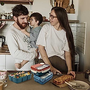 Holee Bento Box Lunch Box with Insulation Bag, Lunch Containers for Adult with Leakproof Divider Utensil Set Multiple Compartments BPA Free