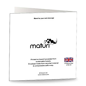 Maturi '12 Today. Have A Rawrsome Birthday' Dinosaur Greetings Card - Blank Inside, 6” x 6” Square