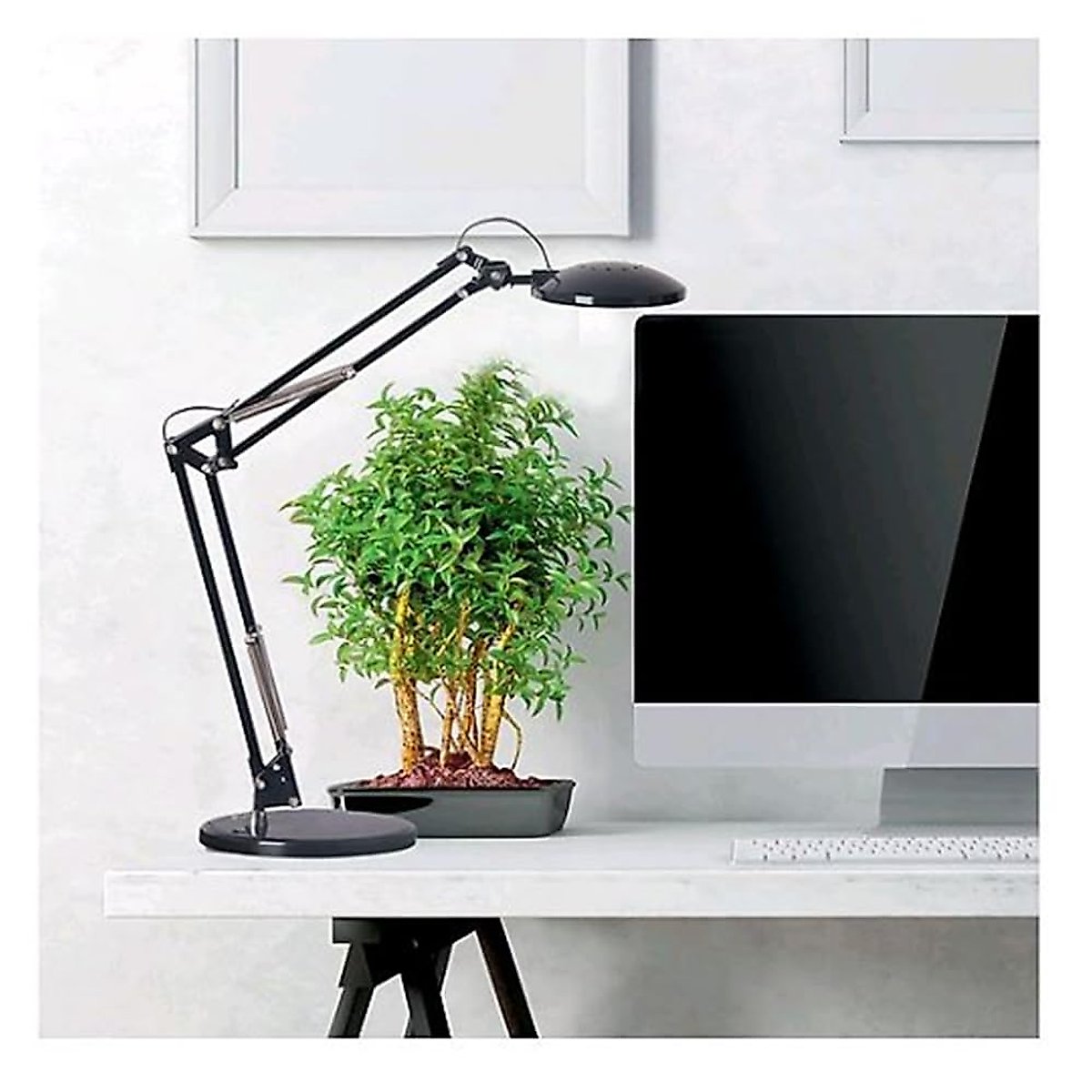 Tensor 10C-005 Portable LED Architect Desk Lamp with Clamp Attachment, 8" x 4" x 15"