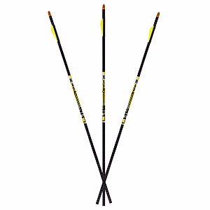 Carbon Express D-Stroyer Hunting Arrow Shafts, 12-Pack, High Modulus Carbon Weave, Dual Spine Weight Forward Technology, Laser Checked, Length 31.5” - 350, 400, or 500 Spine