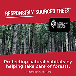 Vanity Fair Everyday Napkins, 200 Count (Pack of 1) (Packaging Design May Vary)