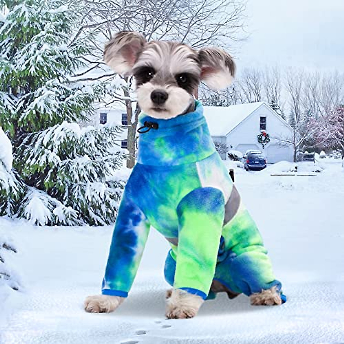 Dog Coats for Small Dogs, Polar Fleece Dog Pajamas Bodysuit for Small Medium Dogs, Dog Winter Jacket, Puppy Onesies Tie Dye Jumpsuits, Dog Full Body Vest, Dog Four-Legged Warm Clothes