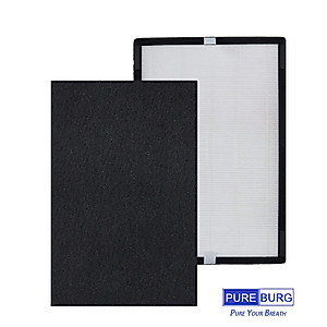 PUREBURG 2-Pack Replacement Set Compatible with GermGuardian AC5600WDLX/AC5600W, FLT5600,FLT56CB4,Filter N