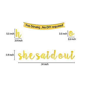 She Said Oui Banner Paris Themed Bachelorette Party Decorations Bride to be Banner she Said yes Banner, Engagement/Bridal Shower/Wedding Decorations