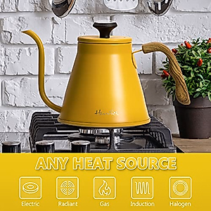 Gooseneck Kettle, Harriet 37oz Pour Over Kettle Stove Top, Stainless Steel Coffee kettle with Thermometer, Tea Kettle with 3-Layer Base, Anti-Hot Handle, for Drip Coffee & Tea