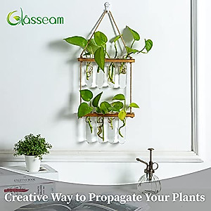 Hanging Plant Propagation Stations Tubes, Glasseam Wall Glass Planter Terrarium with Wooden Stand Propogation Station Vases Test Tubes for Plants Propagate Hydroponics Air Flower, 2 Tier
