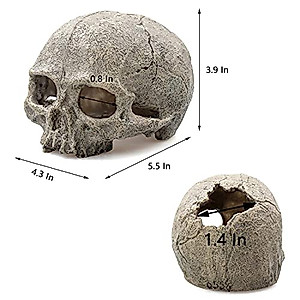 Tfwadmx Aquarium Skull Decor, Resin Fish Tank Decorations Cave Betta Fish Hiedout Reptile House for Small Fish,Shrimp