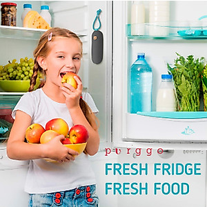 PURGGO Bamboo Charcoal Air Purifying Bag - Last 365+ Days - Shoe Deodorizer, Odor Eliminator - No Chemicals - Air Freshener for Shoes and Closet - Remove Odor Naturally - [4 Pack] [Gray]