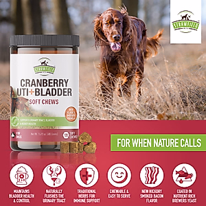 Strawfield Pets' Cranberry UTI + Bladder Soft Chews Cranberry Supplement for Dogs Urinary Tract - Bacon Flavor 120 Chews