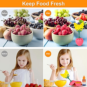 Fruit Fly Trap for Indoor- Non-Toxic Insects Bait Refill Liquid Only- Fruit Fly Bait with Sticky Pads- with 6 Packs Fly Trap Refills Liquid Replacement- 24 Packs Fruit Fly Trap Stickers