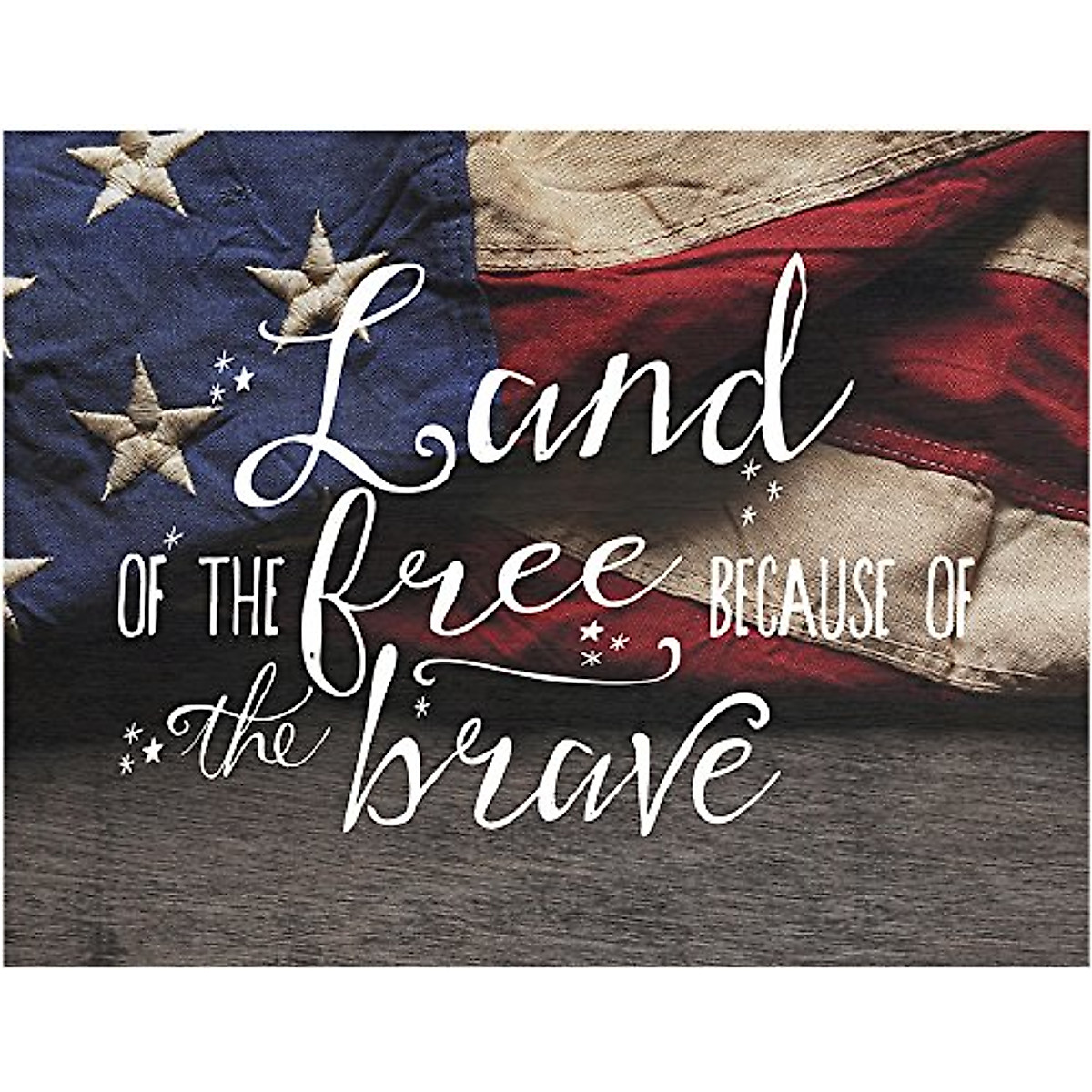 Jada Venia 9.75"x7.75" Flag Land of The Free Light Box Insert