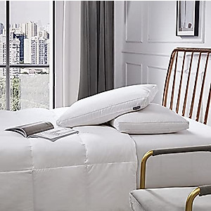 Beautyrest BT-DP-42-2PK White Feather and Down Fiber Pillow, King (Pack of 2), 2 Count