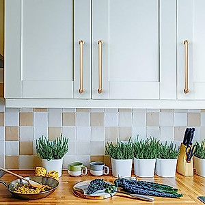 Asidrama 10 Pack 5 Inch(128mm) Brushed Brass Kitchen Cabinet Handles, Cabinet Pulls Kitchen Cabinet Hardware for Cupboard Drawer Pulls