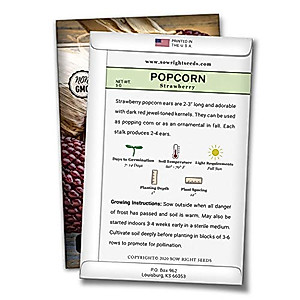 Sow Right Seeds - Strawberry Popcorn Seed for Planting - Non-GMO Heirloom Packet with Instructions to Plant a Home Vegetable Garden