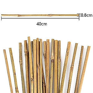 Pllieay 20PC 1.33'/16 Inch Natural Thick Bamboo Stakes Garden Stakes Bamboo Sticks Plant Stakes for Outdoor Plants and Indoor Plants, Potted Plants Tomato Plant Support