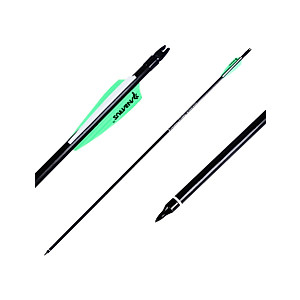 PANDARUS Archery 30inch 8mm Fiberglass Hunting Practice Arrows with Replaceable Arrowhead Spine 500 for Recure and Compound Bow Target