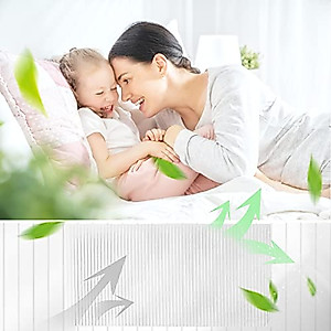 KEYJINIU 6 Pack Filter U Compatible with Honeywell HHT270 HHT270W HHT290 Series FRF101B FHT170W FHT180W FHT190W FRF102B FHT170WCV FHT180X FHT180 FHT190V