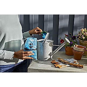 Miracle-Gro 1001921 Water Soluble Flower Food, 1.5 lb