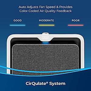 BISSELL air320 Smart Air Purifier with HEPA and Carbon Filters for Large Room and Home, Quiet Bedroom Air Cleaner, Auto Mode, 2768A, White/Grey